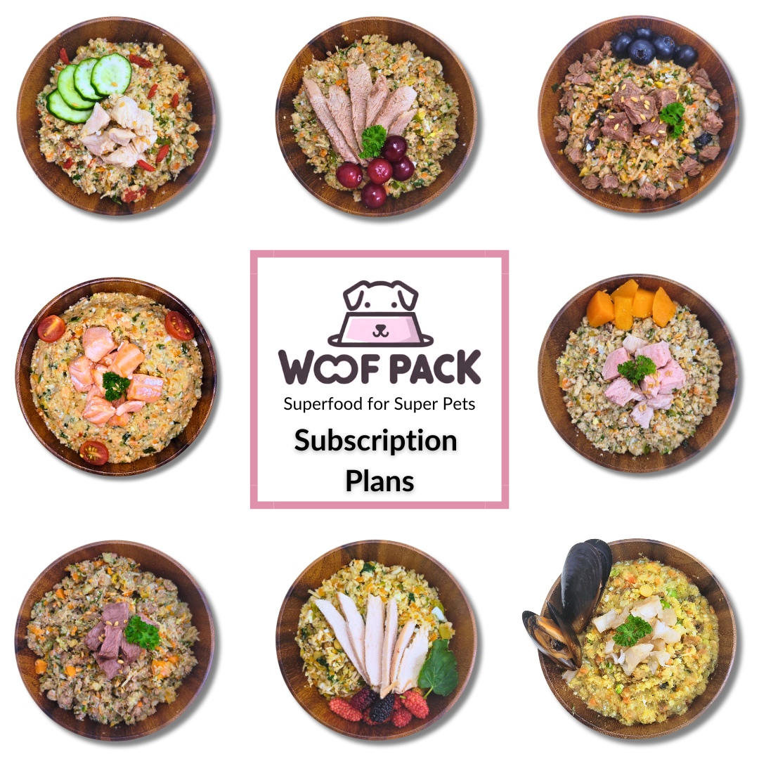 Subscription Plans | Woof Pack SG