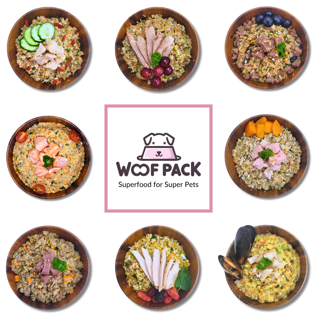 Premium Cooked Meals | Woof Pack SG